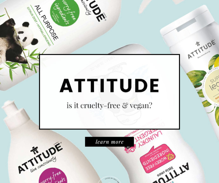 Vegan & Cruelty-Free Cleaning Products Brands