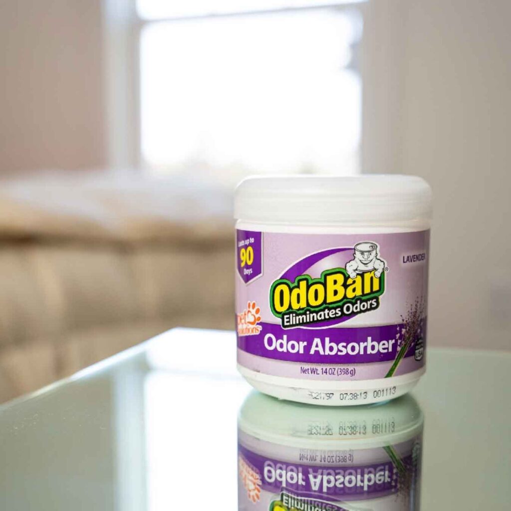 The Reason Why Odoban is NOT Cruelty-Free in 2025 Explained